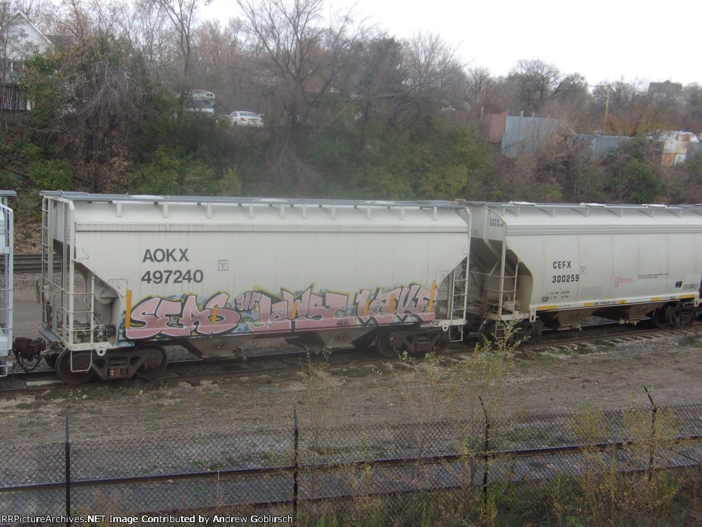 AOKX 497240 + CEFX 300259